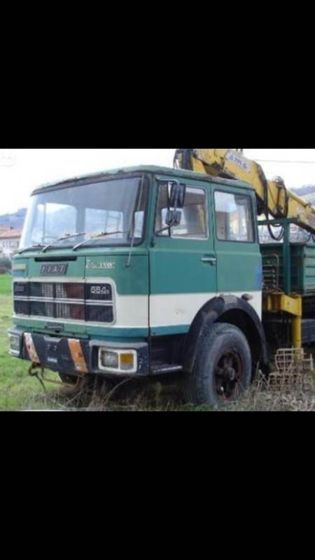 Fiat 684 N, con gru, motore rifatto - Camion - Autocarri a Pesaro