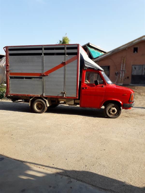 Ford Transit, in ottime condizioni - Camioncini a Cuneo